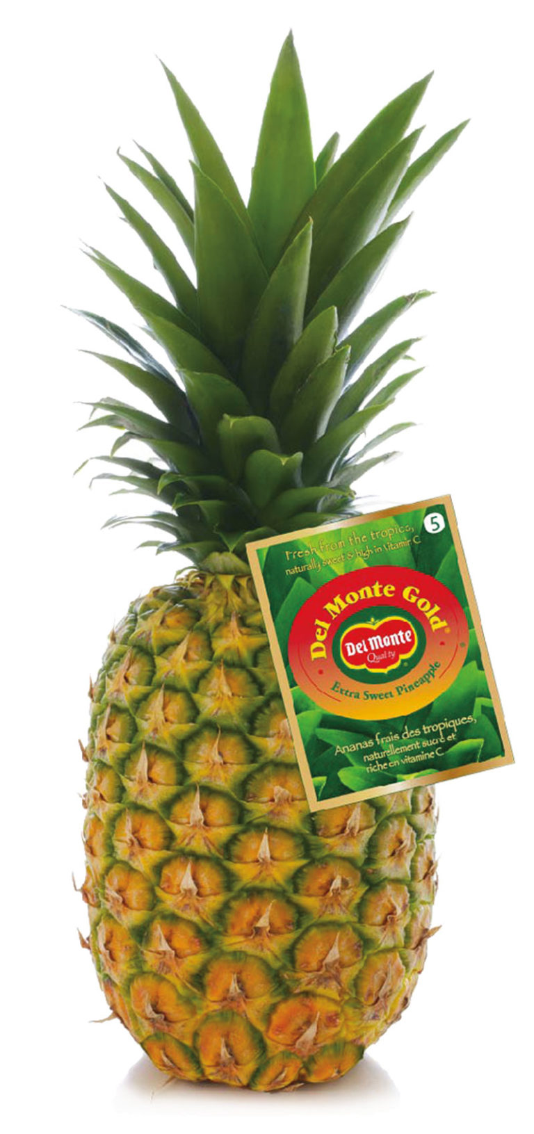 Del Monte: Keeping it Fresh - Coral Gables Magazine