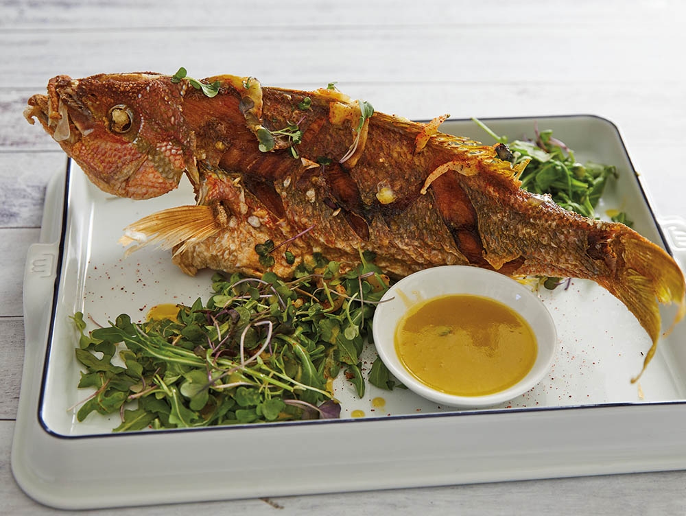 Redfish Reborn - Coral Gables Magazine
