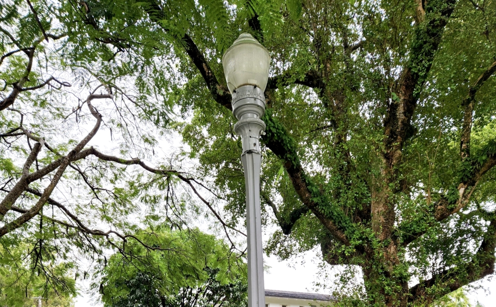 Don's Rambles: Soulful Streetlights - Coral Gables Magazine